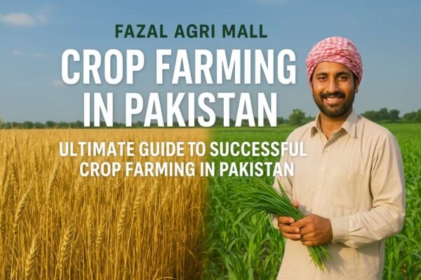 Crop Farming in Pakistan: Tips & Ultimate Guide by Fazal Agri Mall